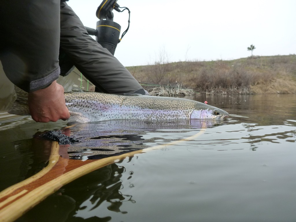 Warm Spring Weather signals start to Stillwater Fly Fishing Season ...